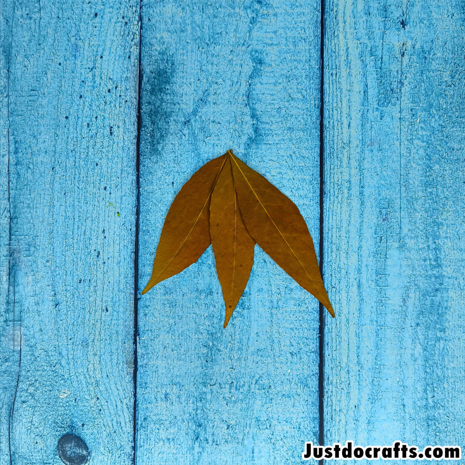 Fall Leaf Princess Craft (Free PDF printable template) - Just Do Crafts
