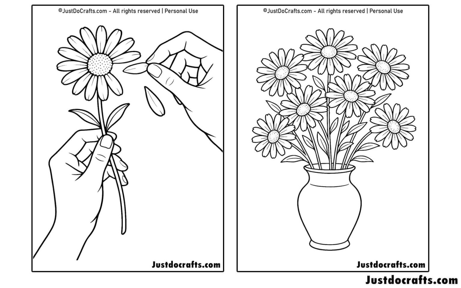 Chamomile Coloring Pages (Free PDF printable) - Just Do Crafts