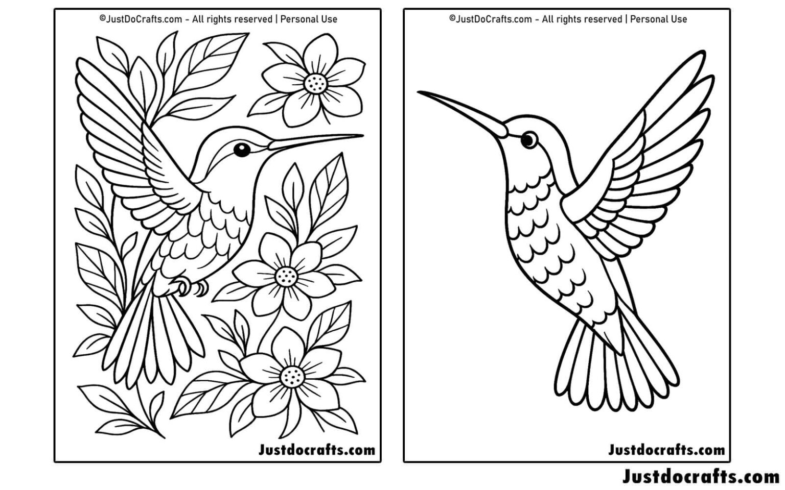 Hummingbird Coloring Pages (Free PDF printable) - Just Do Crafts