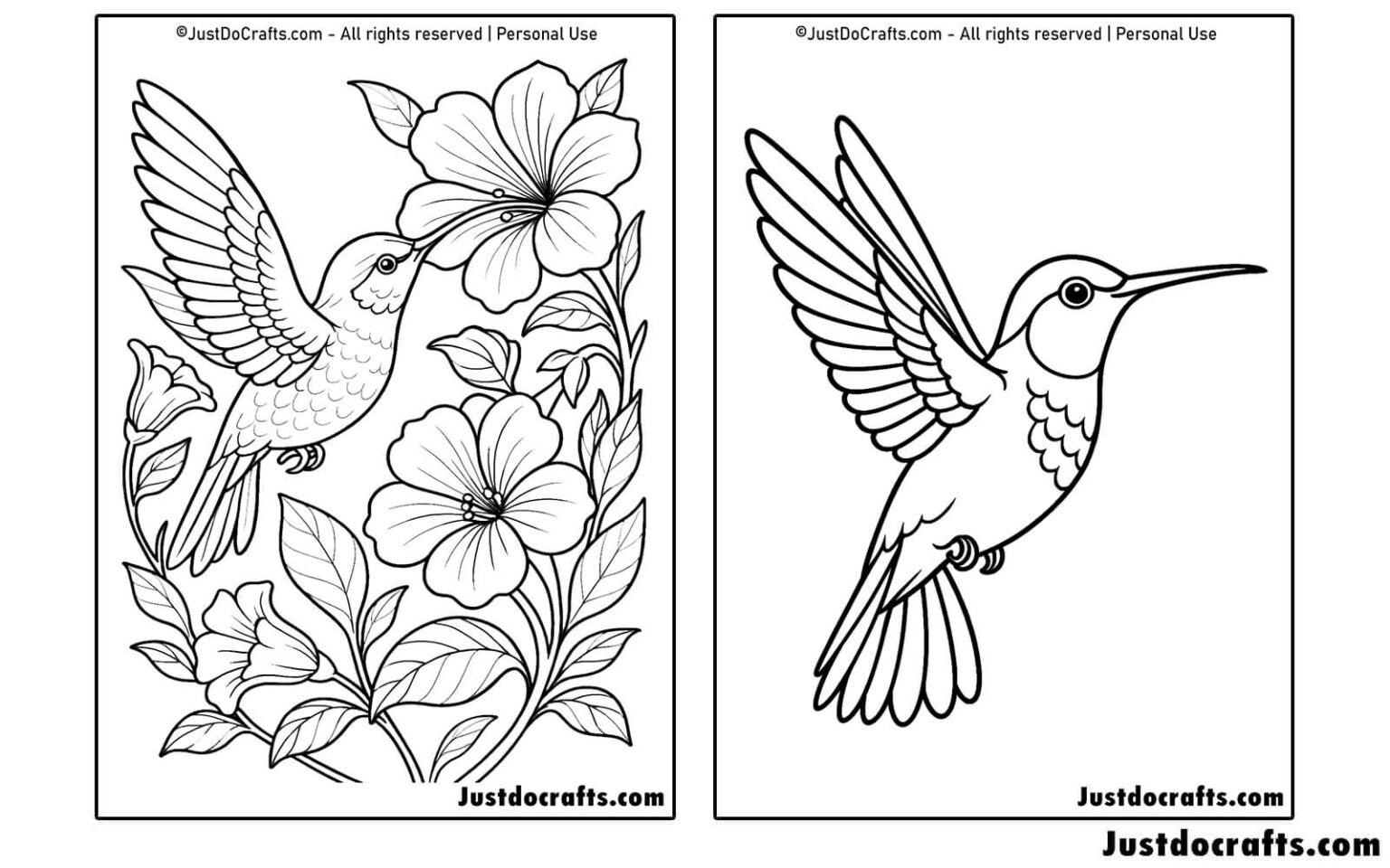 Hummingbird Coloring Pages (Free PDF printable) - Just Do Crafts